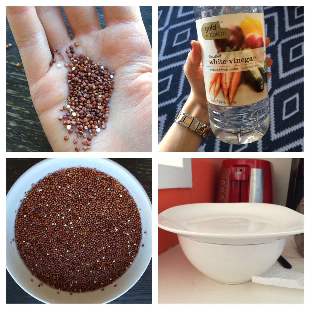 Why—and How—to Rinse and Soak Quinoa | Jessica Cording Nutrition